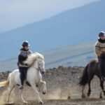North Iceland: Horseback Riding Tour - A Deep Dive into the Icelandic Horseback Riding Experience