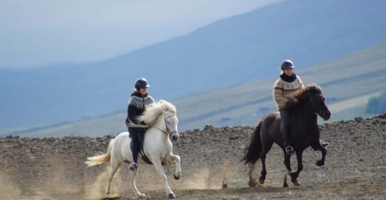 North Iceland: Horseback Riding Tour - A Deep Dive into the Icelandic Horseback Riding Experience