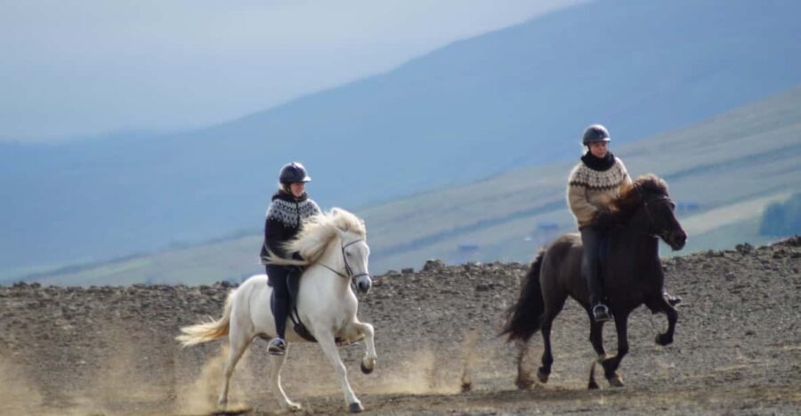 North Iceland: Horseback Riding Tour - A Deep Dive into the Icelandic Horseback Riding Experience