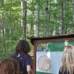 NORTH TOUR Np Biograd Gora-Lake-Moraca Canyon & Monastery-Kolasin - Who Will Love This Tour?
