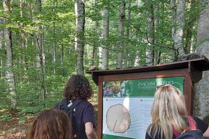 NORTH TOUR Np Biograd Gora-Lake-Moraca Canyon & Monastery-Kolasin - Who Will Love This Tour?