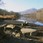 North Wales' Coast: Online Trip Travelguide Anglesey/Wrexham - Detailed Breakdown of the Itinerary