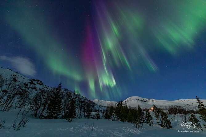 Northern Lights Guided Bus Tour with Snacks Hot drinks - Key Points