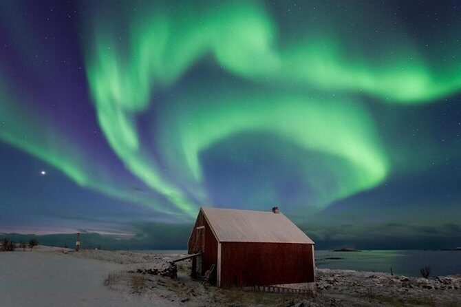 Northern Lights Hunt Including Snacks on Campfire from Levi - What Travelers Can Expect and Why It Matters