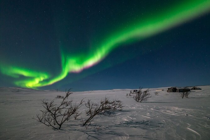 Northern Lights Hunt - Key Points