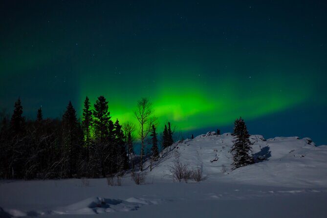 Northern Lights Hunting of Rovaniemi - Pricing and Value