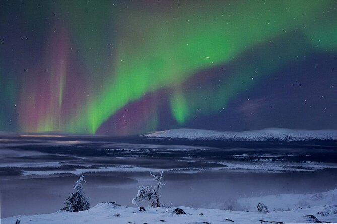 Northern Lights Hunting Photography Tour in Levi - Northern Lights Hunting Photography Tour in Levi: A Detailed Look