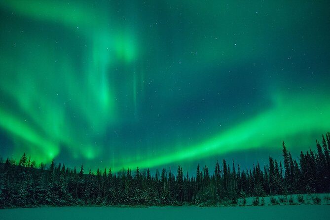 Northern Lights Hunting Tour Rovaniemi - The Experience and Its Value