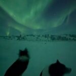 Northern Lights Minibus Chase Max 16 Person In Group - Transportation and Group Size: Why It Matters