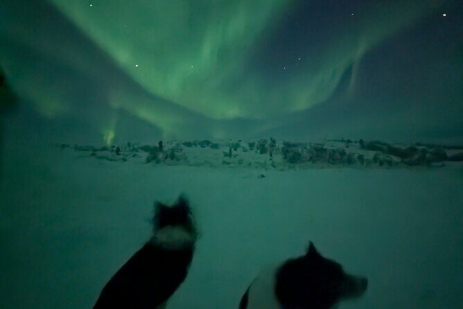 Northern Lights Minibus Chase Max 16 Person In Group - Transportation and Group Size: Why It Matters