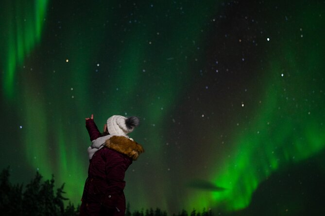 Northern lights Reindeer Sledge Ride - An Introduction to the Experience