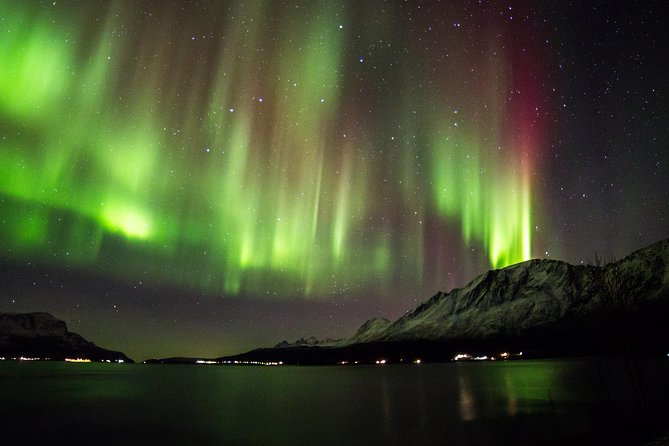 Northern Lights Safari from Tromso - Key Points