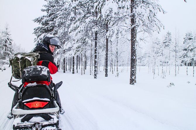 Northern Lights Snowmobile Driving Safari - Who Will Love This Tour?