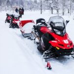 Northern Lights Snowmobile Sleigh Ride - Authentic Experiences and Practical Insights