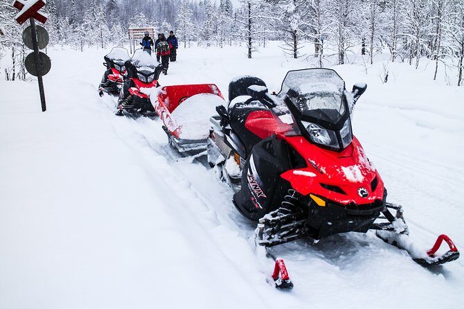 Northern Lights Snowmobile Sleigh Ride - Authentic Experiences and Practical Insights
