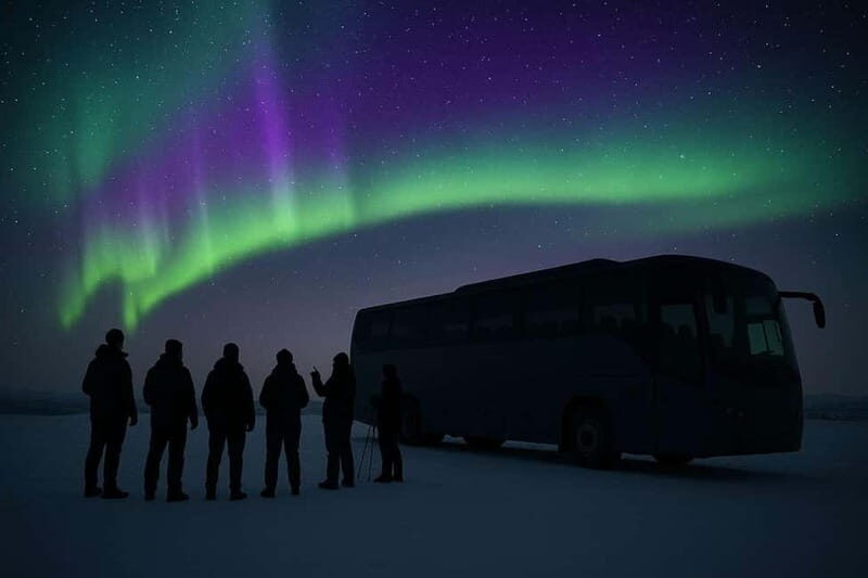 Northern Lights Spotting Tour from the Cruise Harbor - Authenticity and Local Insights