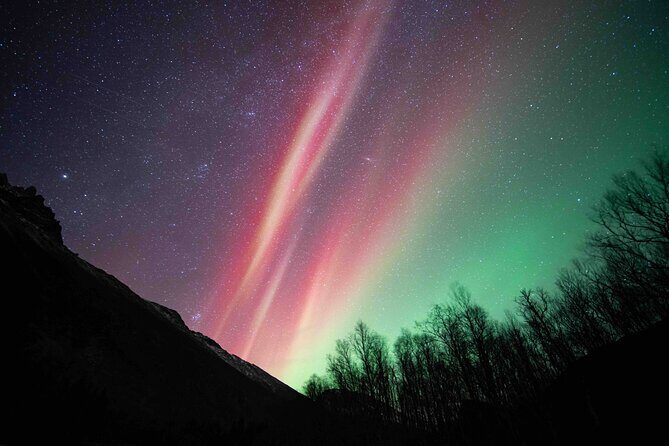 Northern Lights Tour with small group of 8 people - Who Should Consider This Tour?