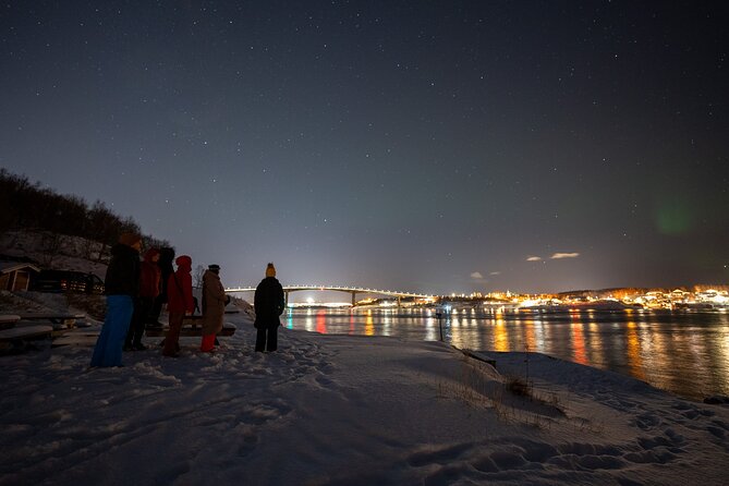 Northern Lights Tours Bodo Norway - Key Points