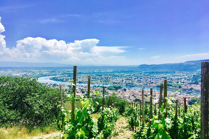 Northern Rhône Valley From Lyon Full day - Key Points