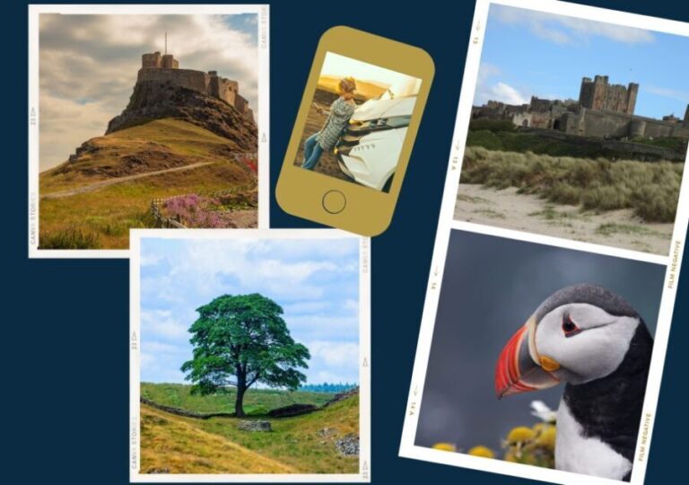 Northumberland Castles & Coast Online Road Trip Travel Guide - Exploring the Highlights: What You’ll See and Do