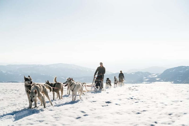 Norway: 2-Day Dogsledding Tour with Glacier Campsite - The Experience: What You’ll Feel and See