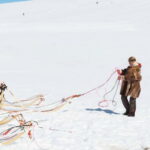 Norway: Half Day Dog Sledding on the Folgefonna Glacier - The Itinerary Breakdown