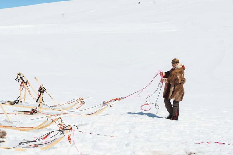 Norway: Half Day Dog Sledding on the Folgefonna Glacier - The Itinerary Breakdown