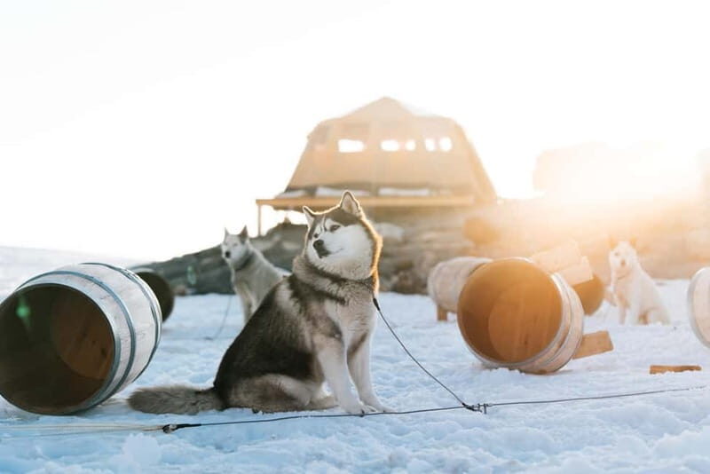 Norway: Overnight Stay at Glacier Campsite - How the itinerary flows