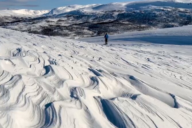 Norway Troms Snowshoe Activity with Guided Tour - Key Points