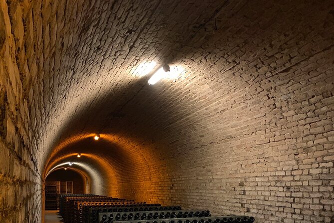 Not Your Average Champagne Tour - Day Trip From Paris (Private) - Key Points