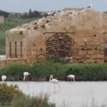 Noto: Guided trekking and birdwatching at Vendicari Reserve - A Closer Look at the Itinerary