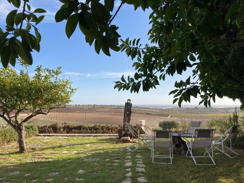 Noto: Wine Tasting and Estate Tour with Local Products - The Itinerary in Detail