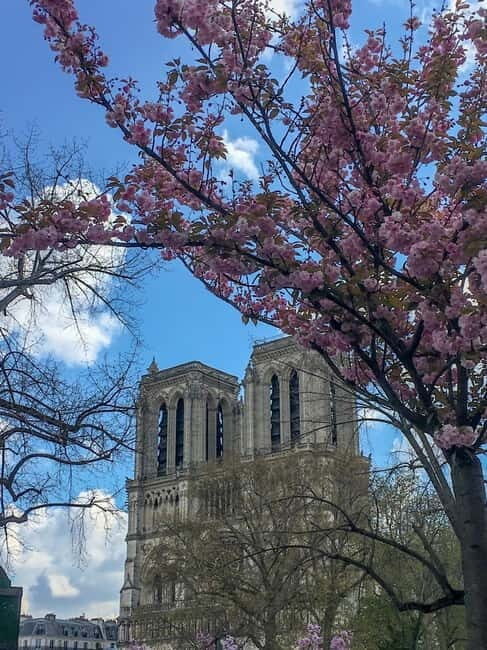 Notre Dame Ile De La Cité Walking Tour & Seine River Cruise - An In-Depth Look at the Experience