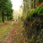 Nozzle Horn Protected Landscape Area - Transportation and Group Size