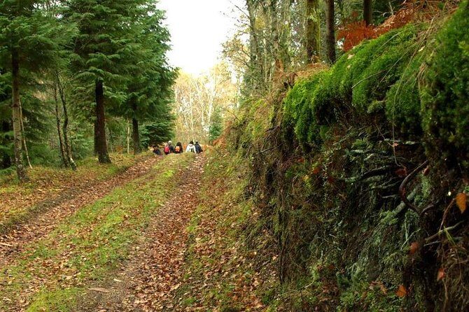 Nozzle Horn Protected Landscape Area - Transportation and Group Size