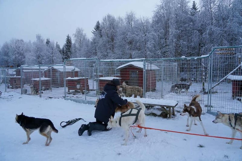 Nulkki Husky Adventure - The Huskies and Their Trainers