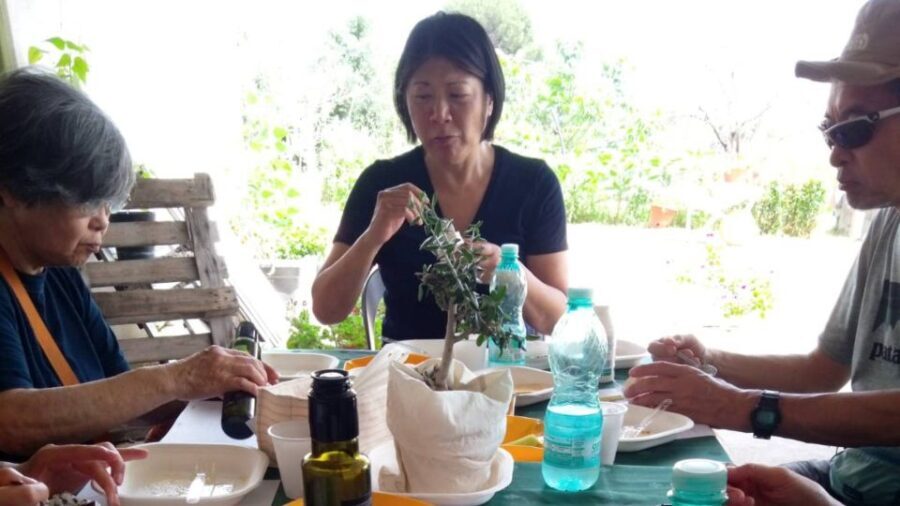 Nuoro: Visit an oil mill with oil tasting - The Itinerary in Detail