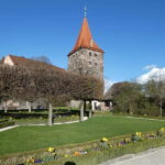 Nuremberg: Free Walking Tour - The Value of This Tour