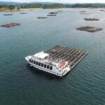 O Grove: Boat Tour with Mussel Tasting and Wine - What to Expect During the Tour