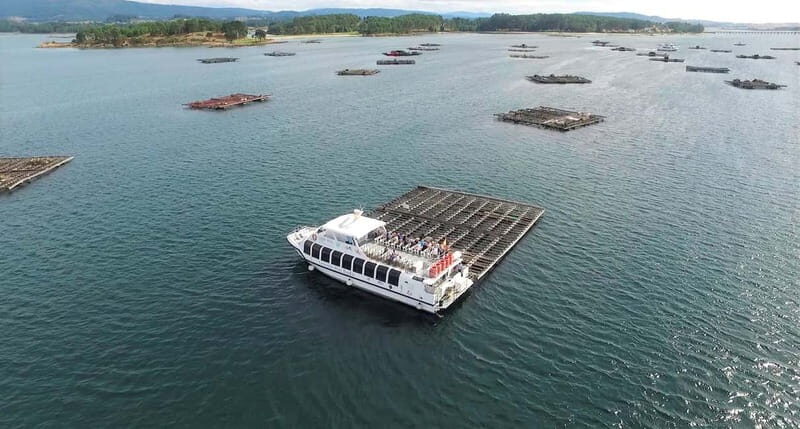 O Grove: Boat Tour with Mussel Tasting and Wine - What to Expect During the Tour