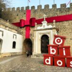 Óbidos (Medieval Town): Half-Day Private Tour from Lisbon - In-Depth Look at the Itinerary
