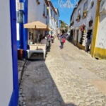 Óbidos to Peniche: Explore the Atlantic Coast E-bike Tour - Whats Included and Whats Not