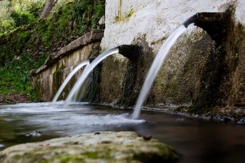 Off-Road: Natural Lake, Mountain Gorges, Palm Forest & Beach - What It’s Like to Experience This Tour