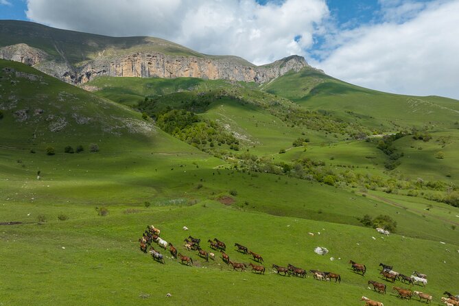Off Road Tour to Dimats Mount Dilijan Armenia - Key Points