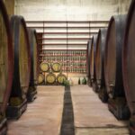 Offida: Tasting itinerary of Rosso Piceno DOC Superiore - Recap of the Experience