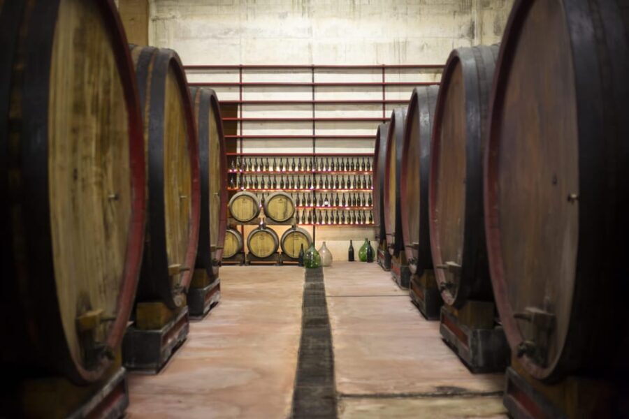 Offida: Tasting itinerary of Rosso Piceno DOC Superiore - Recap of the Experience