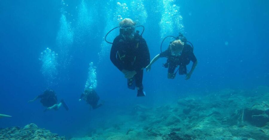 Oia: 2 Guided Scuba Dives off Santorini for Certified Divers - Is It Worth the Price?