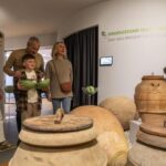 Oil Museum and Mill in Tuscany: interactive tour and tasting - The Interactive Museum: Learning with a Smile