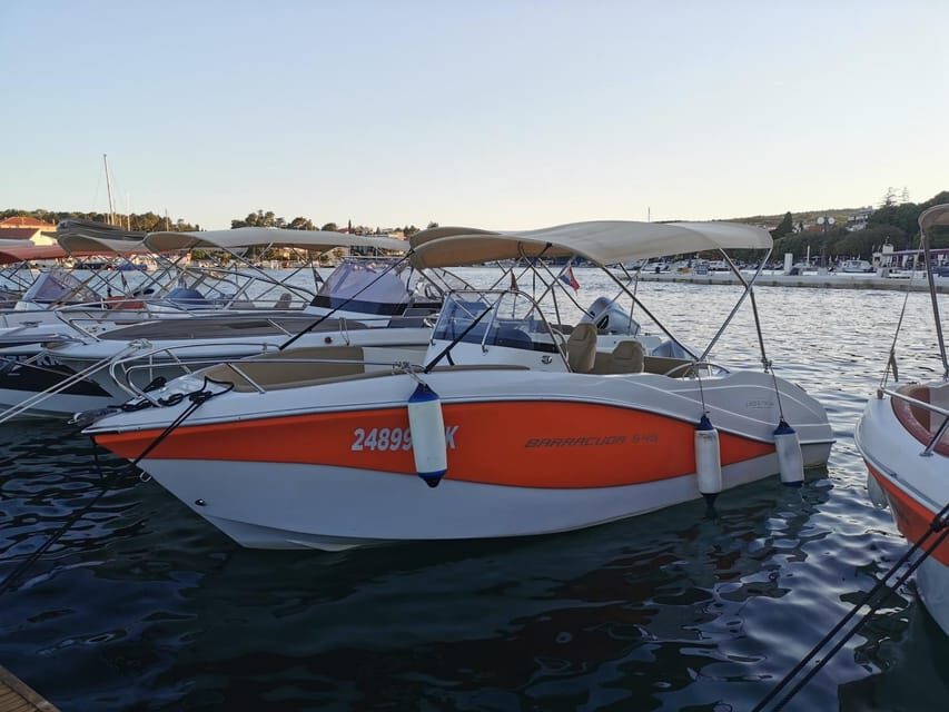 Oki Barracuda 545 356kk - An In-Depth Look at the Oki Barracuda 545 Tour