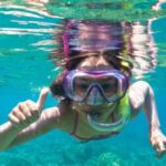 Olbia: Dolphin Watching and Snorkeling Boat Tour - Who Should Book This Tour?